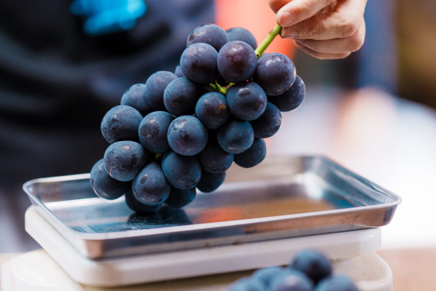 美星コメットファーム | トップページ